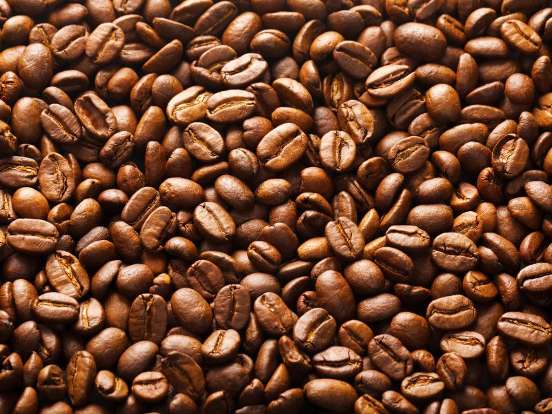 Raging Beans | Raging Waters Sydney | Raging Water Sydney